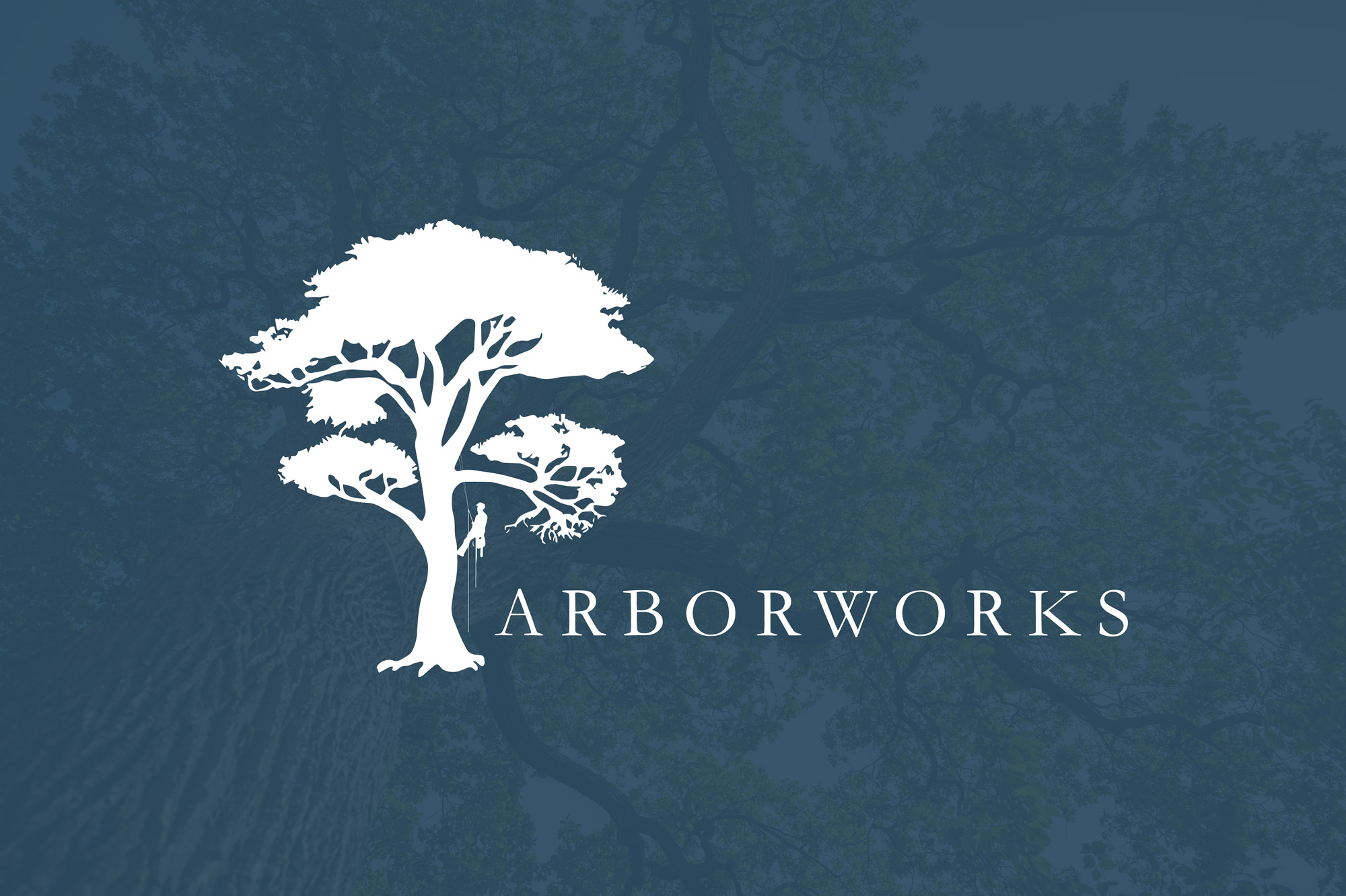 ISA Certified Arborists on the Northshore - ArborWorks